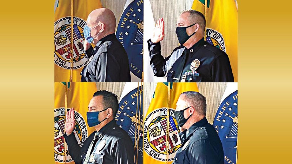 New Captains | Alive! News